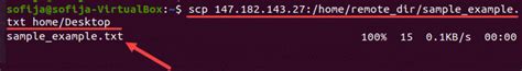 Scp Command In Linux 13 Examples Phoenixnap Kb