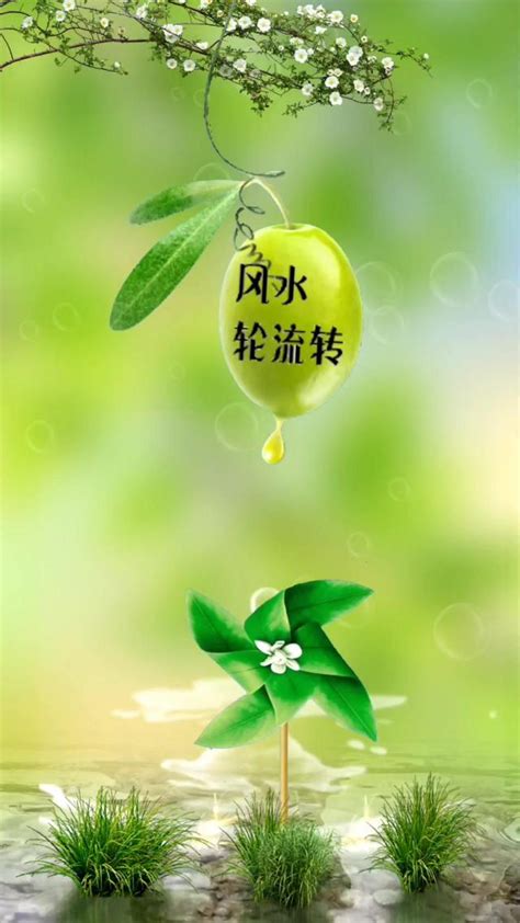 风水轮流转小清新手机静态壁纸 小清新手机壁纸下载 元气壁纸
