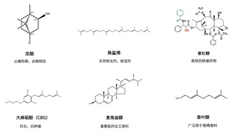 欣贝莱生物 Syngears™平台：借力ai，打造生物合成的“数字基座” 知乎