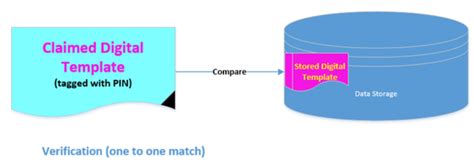 Architecture Of Biometrics Systems Biometrics 101