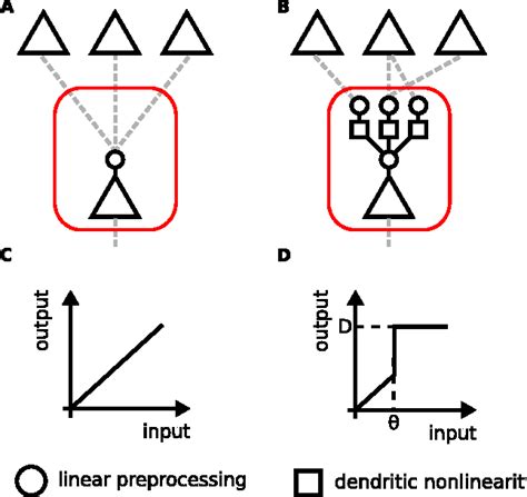 Figure 1 From Statistical Physics Of Neural Systems With Non Additive Dendritic Coupling
