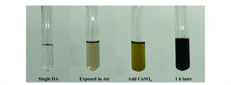 Photograph Of The Mixed Solution Under Different Conditions Download Scientific Diagram