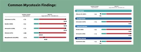 The Best Labs For Ibs How To Finally Get Real Answers About Your Gut Health Tara Michelle Health