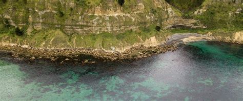 Extreme Weather Impacts To Coastal Marine Ecosystems Resilience To Natures Challenges