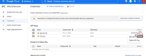 How To Fix RefererNotAllowedMaperror WP Maps Pro