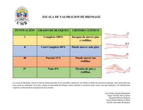 La Escala De Bromage Una Herramienta Para Valorar El Grado De Bloqueo Motor Tras Una Anestesia