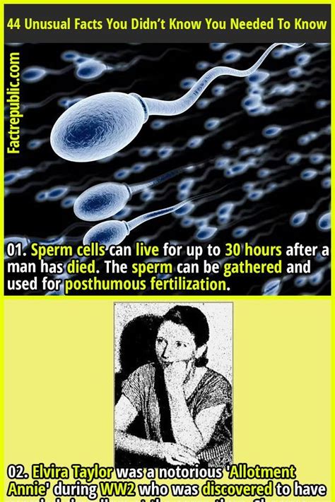 44 Unusual Random Facts You Didnt Know You Needed To Know Random