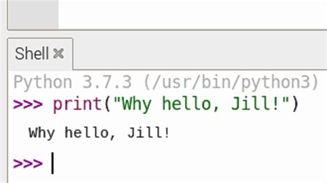 Raspberry Pi Python Coding — Saschofield