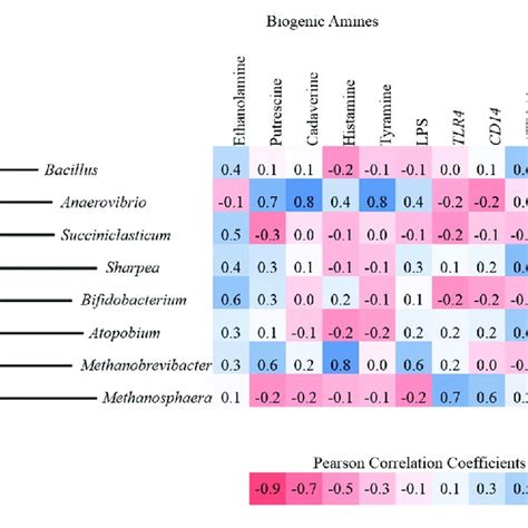 pearson correlation between biomarker genera rumen papillae gene