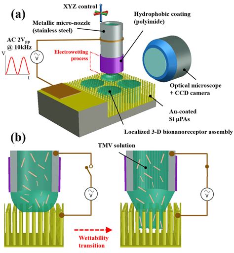 A An Overview Of The 3d Ebp Process Control Set Up And B Download Scientific Diagram