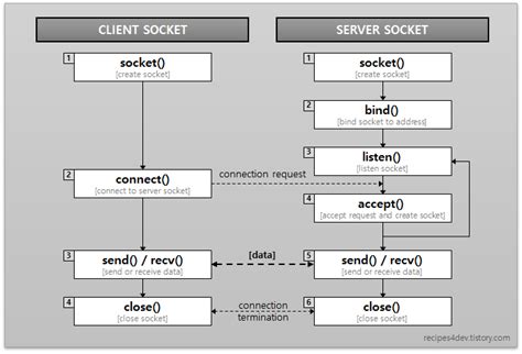 network socket spliki