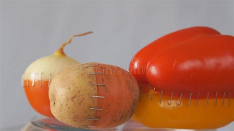 Vegetables Hybrids Genetically Modified Vegetables Concept Stock Video