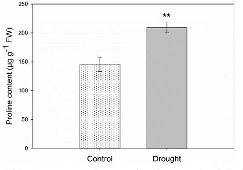 Figure 1 From Drought Disrupts Auxin Localization In Abscission Zone