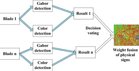 Algorithm Structure Of Disease Judgment Download Scientific Diagram