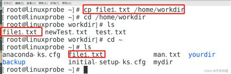 linux cp命令超详解（狠狠爱住） csdn博客