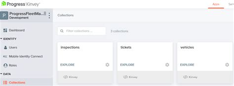 Using Telerik Reporting With Kinveys Baas