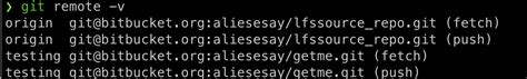 Bitbucket Import Existing Code Using Import Wizard Is Omitting Lfs
