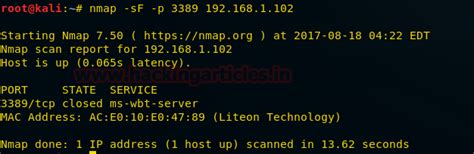 Understanding Nmap Scan With Wireshark