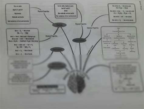 SOLUTION Class Science Mind Maps Studypool