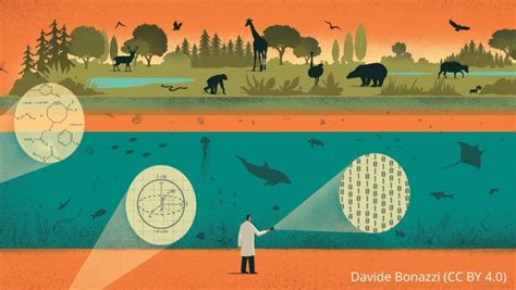 Elife Sciences Publications Ltd On Linkedin Intraspecific Predator Interference Promotes