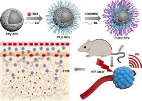 通过降解细胞外基质增强胰腺肿瘤的光热和化疗 Colloids and Surfaces B Biointerfaces X MOL