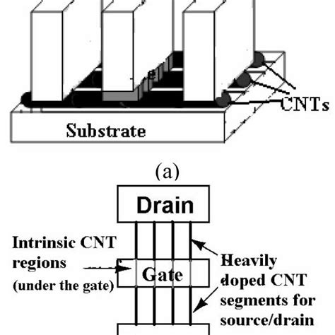 Schematic Diagram Of A Cnt Transistor [12] A Cross Sectional View Download Scientific