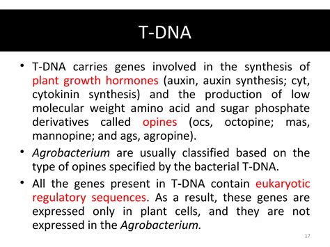 Molecular Biology Of Agrobacterium Infection Ppt