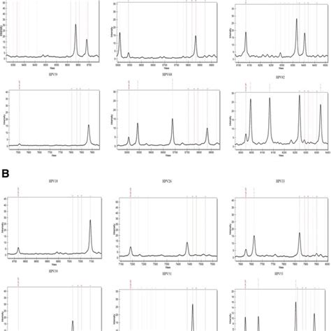 The 18 Hr Hpv Genotyping Assay Using Their Recombination Plasmids As