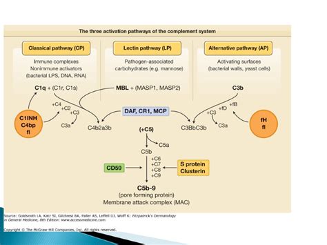 Classification Of Immune System Old And New Classification