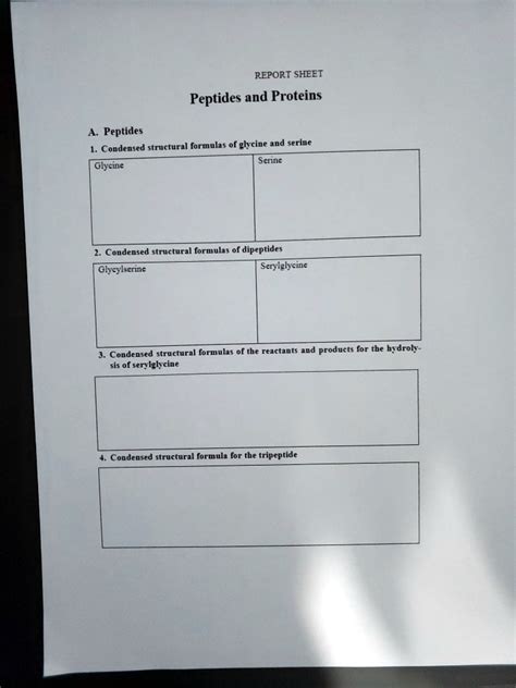 Solved Report Sheet Peptides And Proteins Peptides 1 Condensed Structural Formulas Of