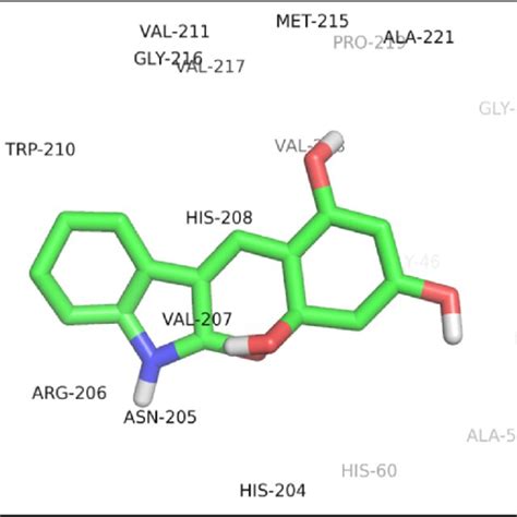 A The Binding Orientation Of Compound 11 Within The Active Site Of Download Scientific Diagram
