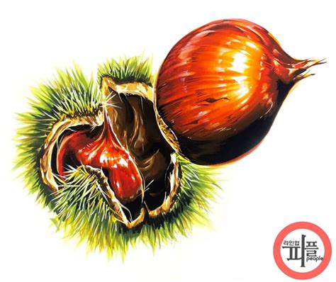 수원피플미술학원 On Instagram 밤 개체묘사🌰 그림 디자인 현실적인 그림 그림