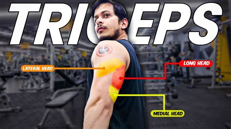 How To Target All Three Heads Of Your Triceps Effectively Youtube