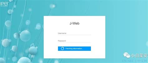 SQL注入之WHERE 子句中的 SQL 注入漏洞 CN SEC 中文网 SQL注入之WHERE 子句中的 SQL 注入漏洞 CN SEC 中文网