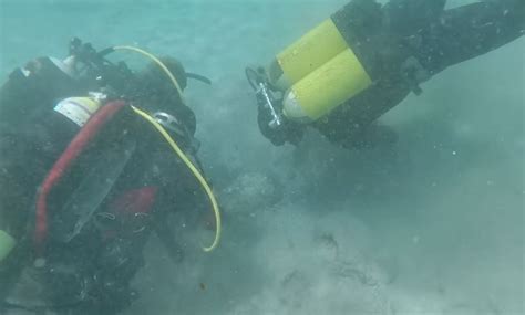 Monede Antice Extrem De Rare Descoperite în Largul Coastei Sardiniei O Comoară în Valoare De