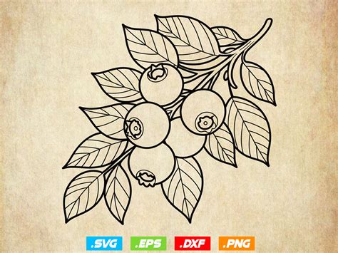 Blueberry Svg Blueberry Stencil Svg Graphic By Ripongrafix471