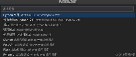Vscode调试python程序vscode 运行python加断点 Csdn博客
