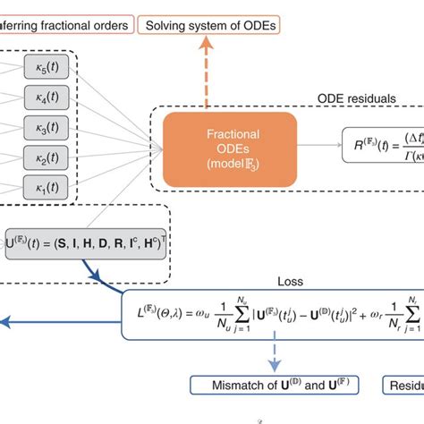 schematic of the physics informed neural network for fractional model