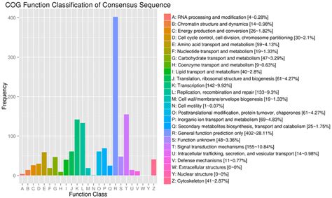 Cog Function Classification Of The Annotated Degs 938 Annotated Degs