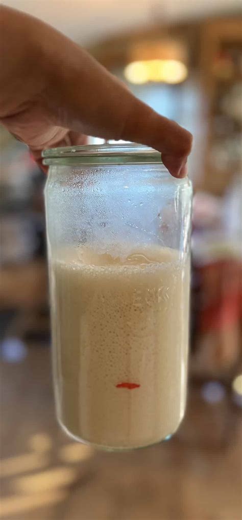 Aliquot Jar How To Make Sourdough Bread