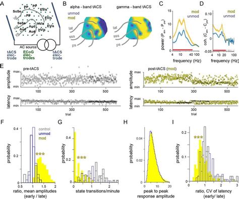 Effects Of Transcranial Current Stimulation Audiovisual Responses A Download Scientific