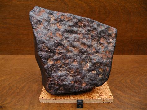 Meteorite Gallery Photos Information Hunting Research Preservation