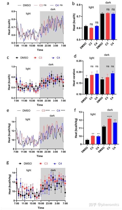 Phenomics复旦大学生命科学学院鲁伯埙教授、付玉华青年副研究员揭示自噬途径清除脂滴改变肥胖 糖尿病小鼠的代谢表型 知乎
