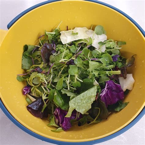 프렌치드래싱 맛있게 만드는 법 야채샐러드 기본 소스 만들기