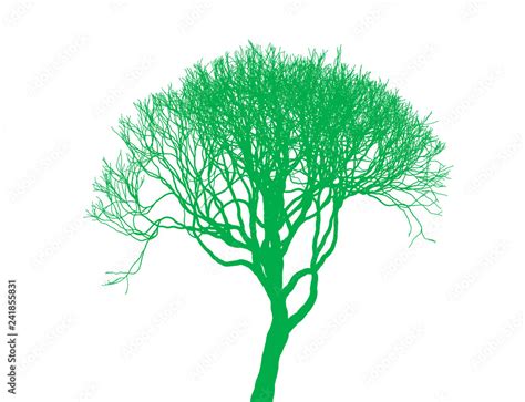 Naked Tree Silhouette On White Background Fine Detailed Realistic Illustration Isolated Design