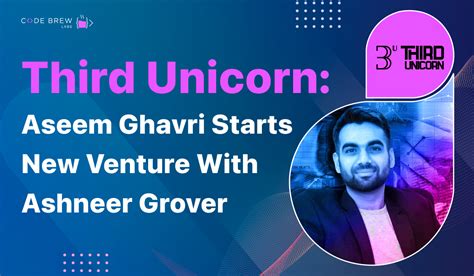 Third Unicorn Aseem Ghavri Starts New Venture With Ashneer Grover