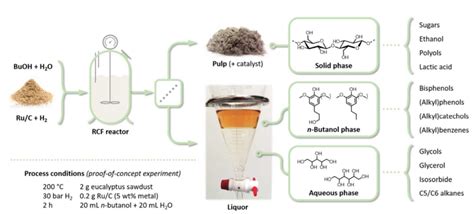 General Process Of Lignin‐first Biorefinery Of Raw Lignocellulose Using Download Scientific