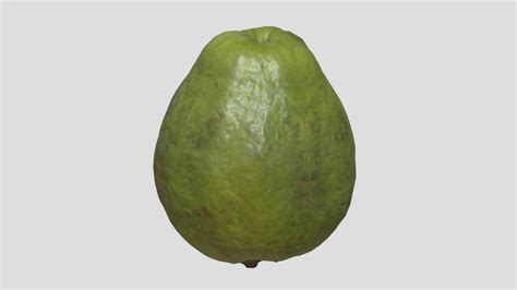 Guava Low Poly 3d Model By Frezzy