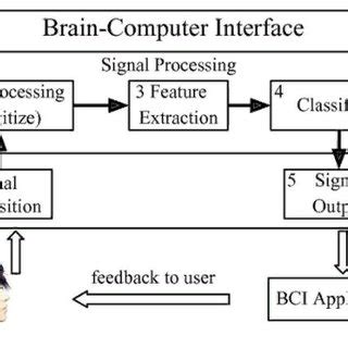 PDF THE BRAIN COMPUTER INTERFACE