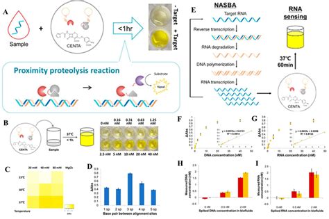 a nucleic acid detection by a target‐assisted proximity proteolysis